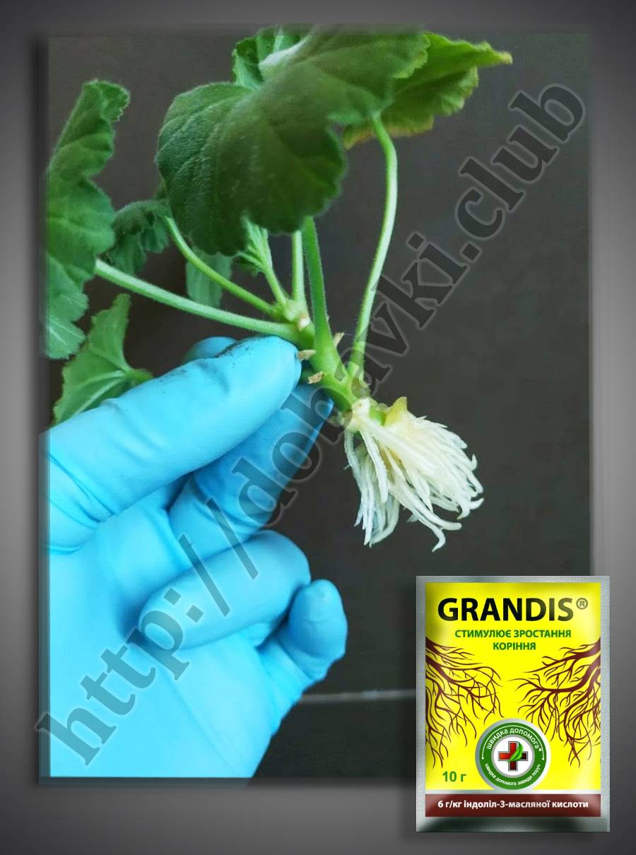 Вкоренител Grandis – Добавки за растения